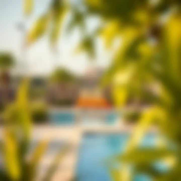 Exploring Al Nasser Compound: Your Guide to Dubai Living